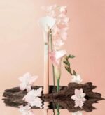 120+ avatar zalo đẹp và dễ thương nhất dành cho cả nam và nữ